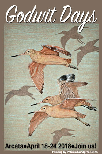 Home [godwitdays.org]